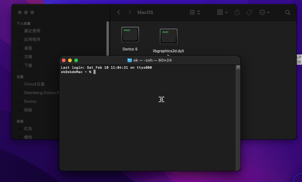 Steinberg Dorico Pro 5.1.10 Mac专业的音乐记谱和排版软件 - MAC萌新网